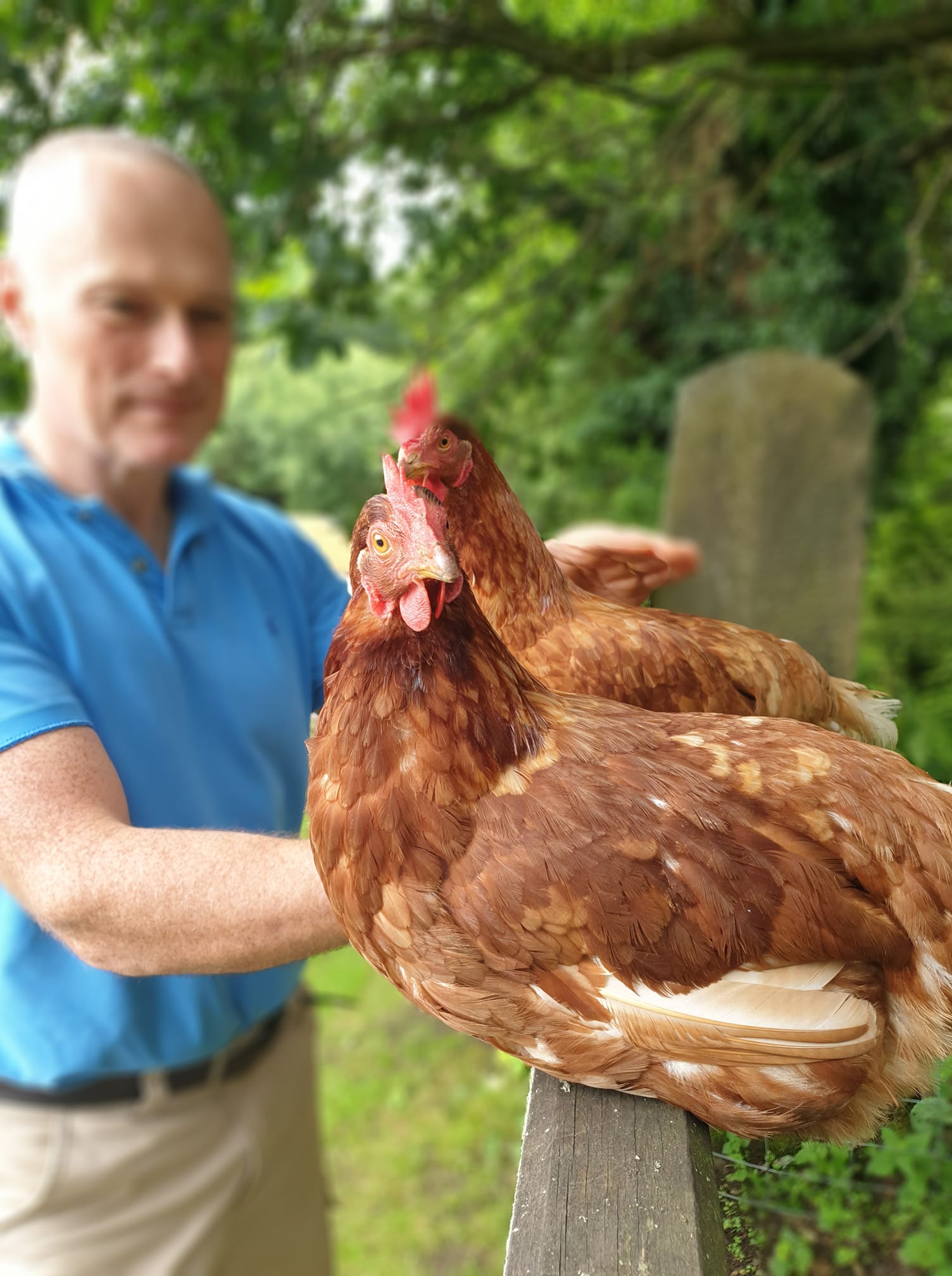 Pushing your Boundaries – Chicken Nuggets